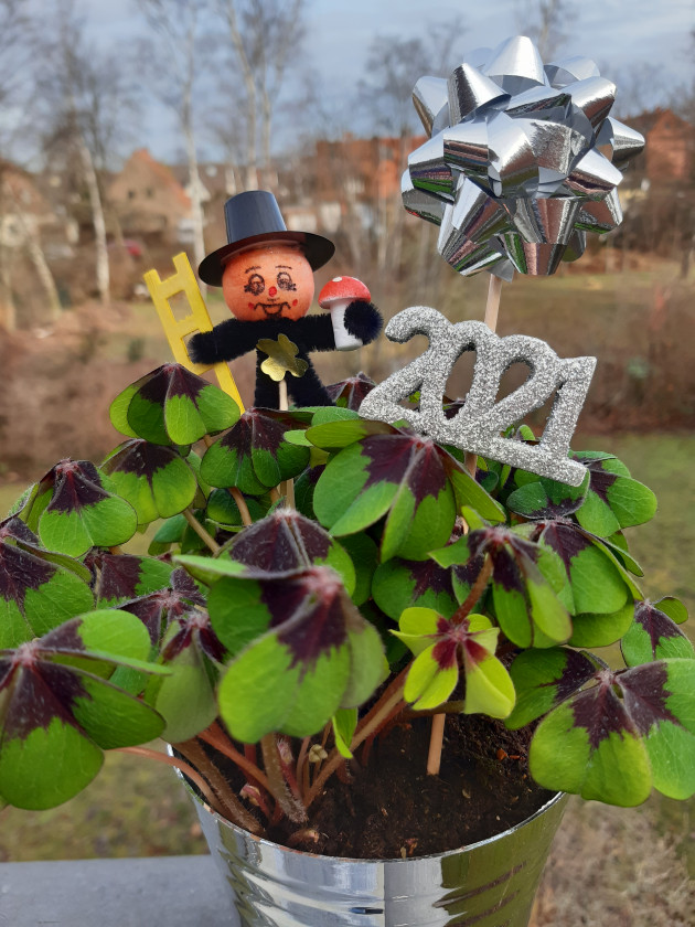 Alles Gute fürs Neue | JODOCK